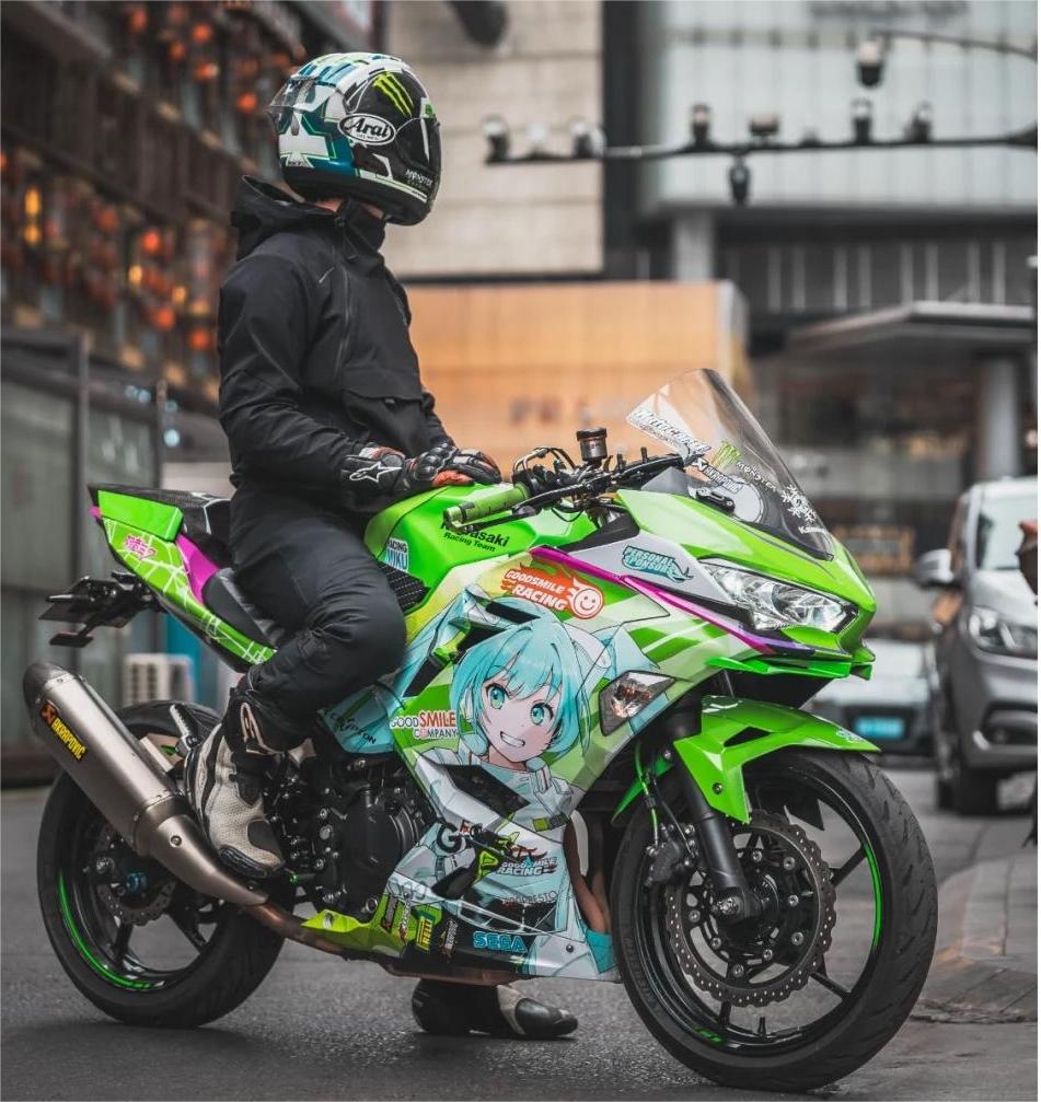 Spider Fairings-Motorcycle Fairings and Custom Fairings for SportBikes ...